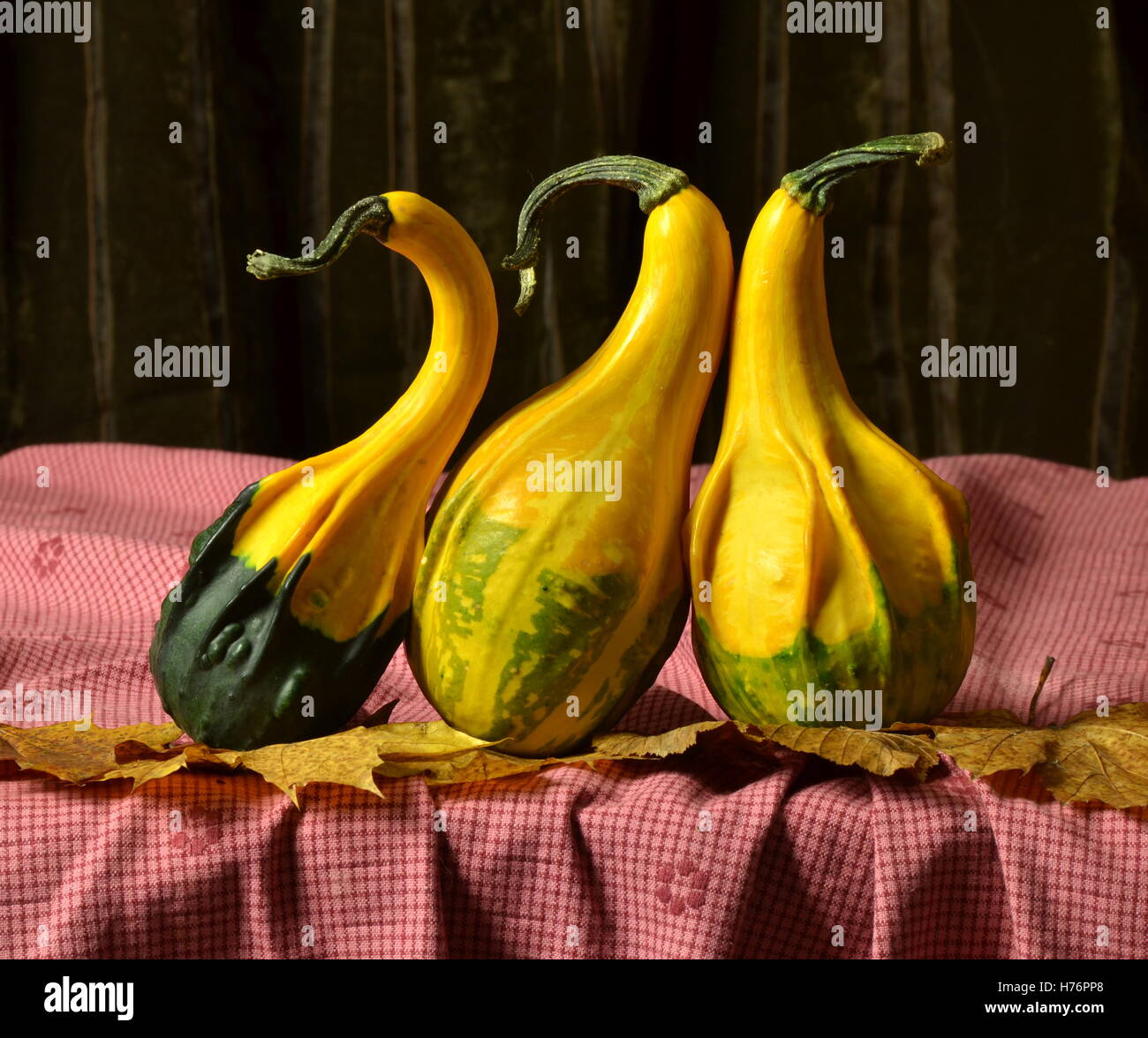 Still life pumpkins hi-res stock photography and images - Alamy