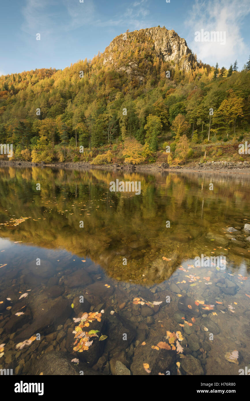 Autumn leaves and colours at Raven Crag reflected in Thirlmere, English ...