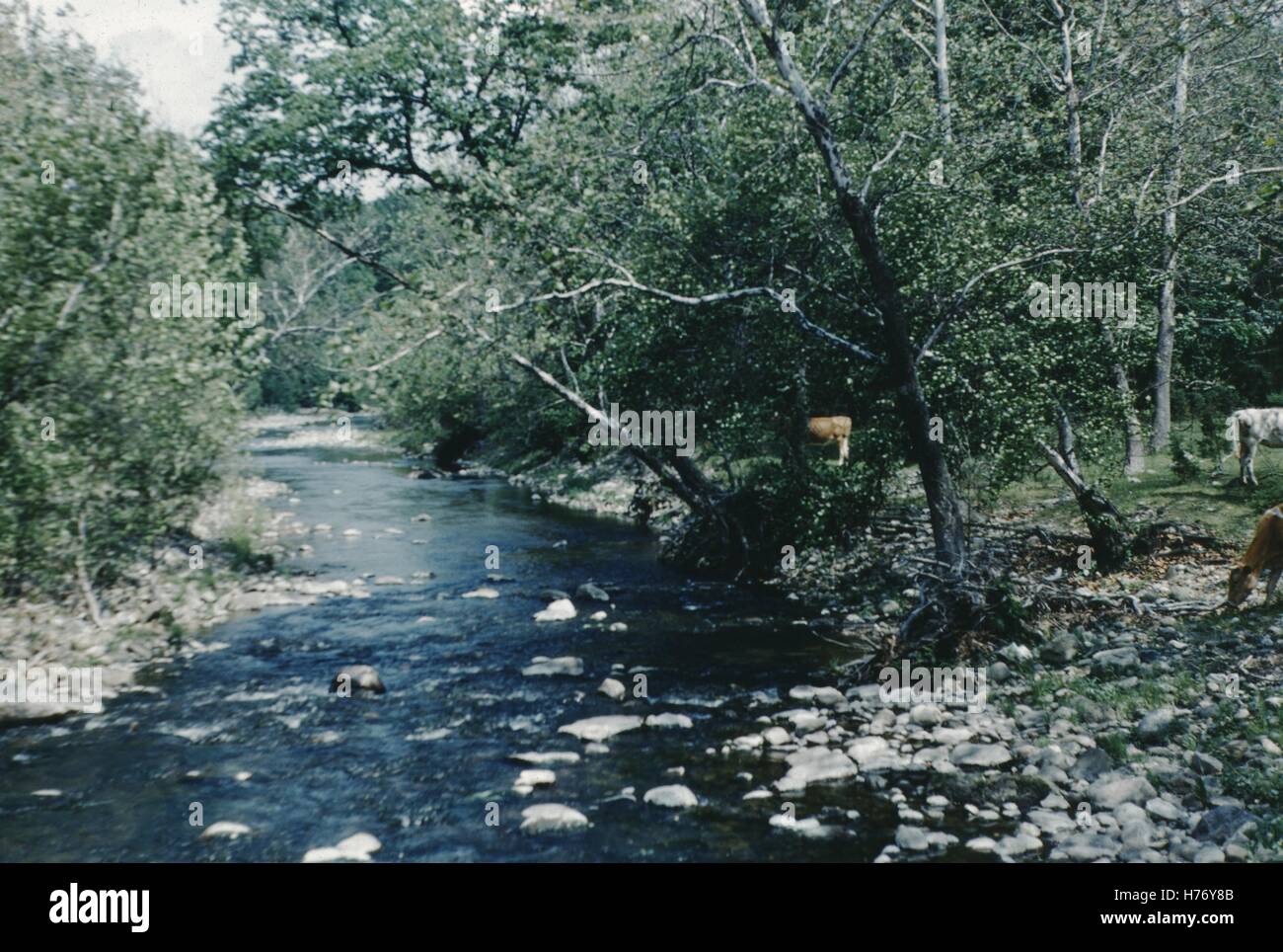 Vintage archival photograph taken in 1952 Stock Photo - Alamy
