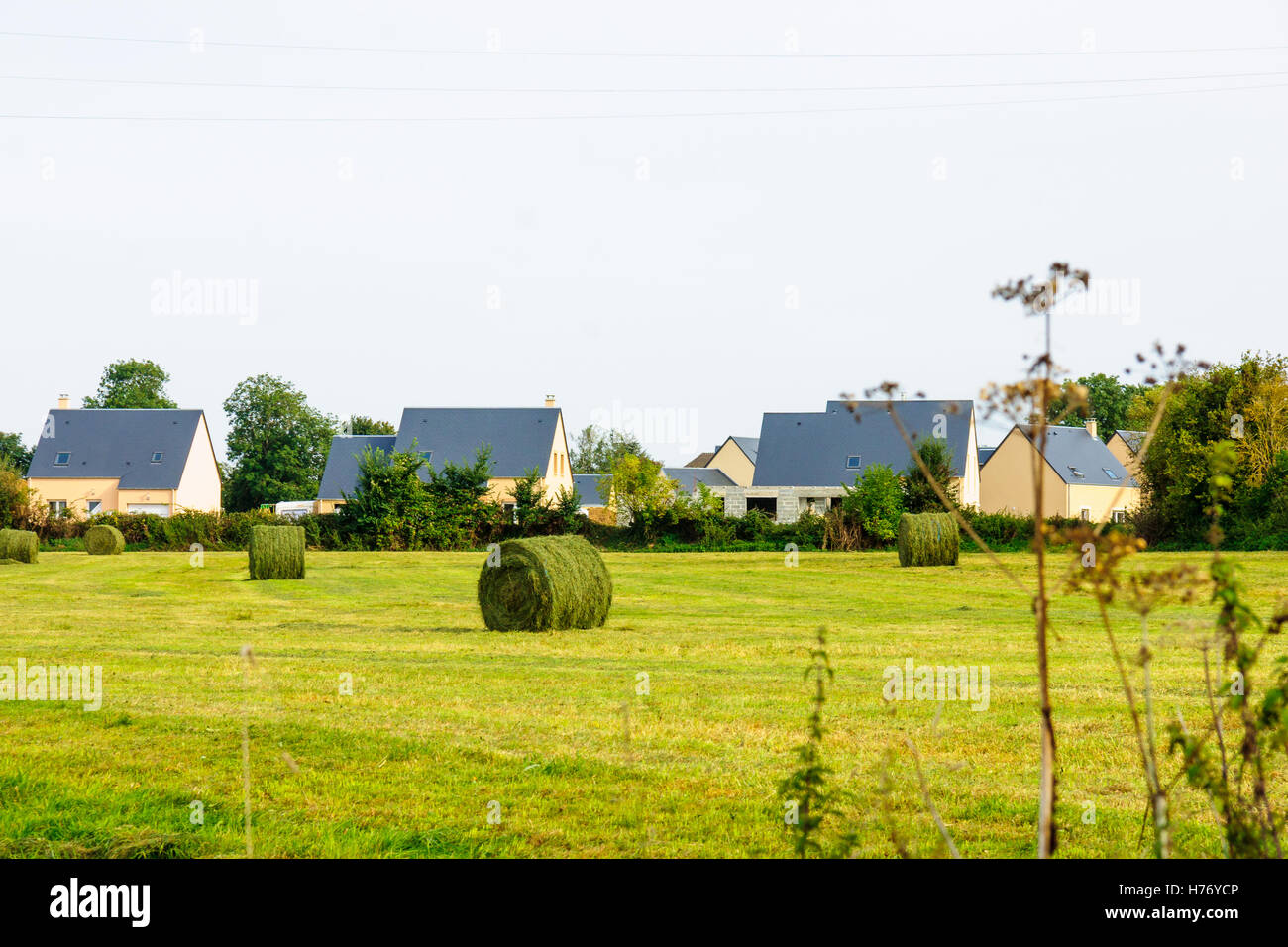 Countryside and haystacks near Bayeux, Normandy, France Stock Photo - Alamy