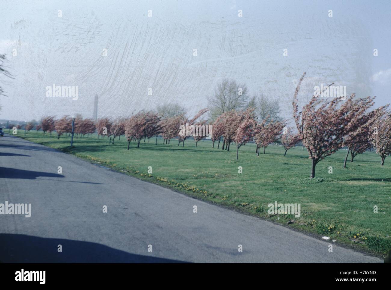 Vintage archival photograph taken in 1952 Stock Photo - Alamy