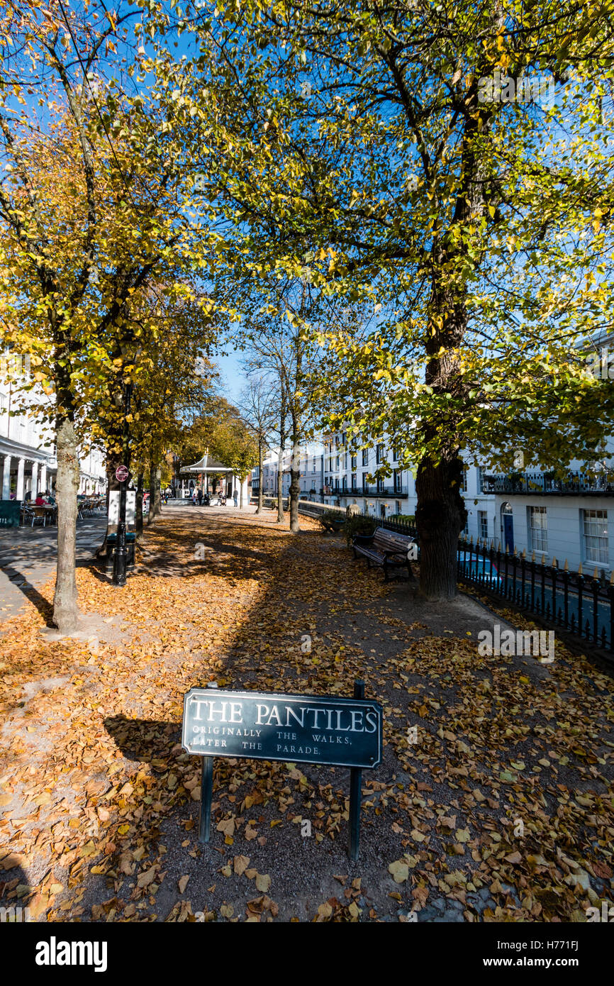 Famous leaves hi-res stock photography and images - Alamy