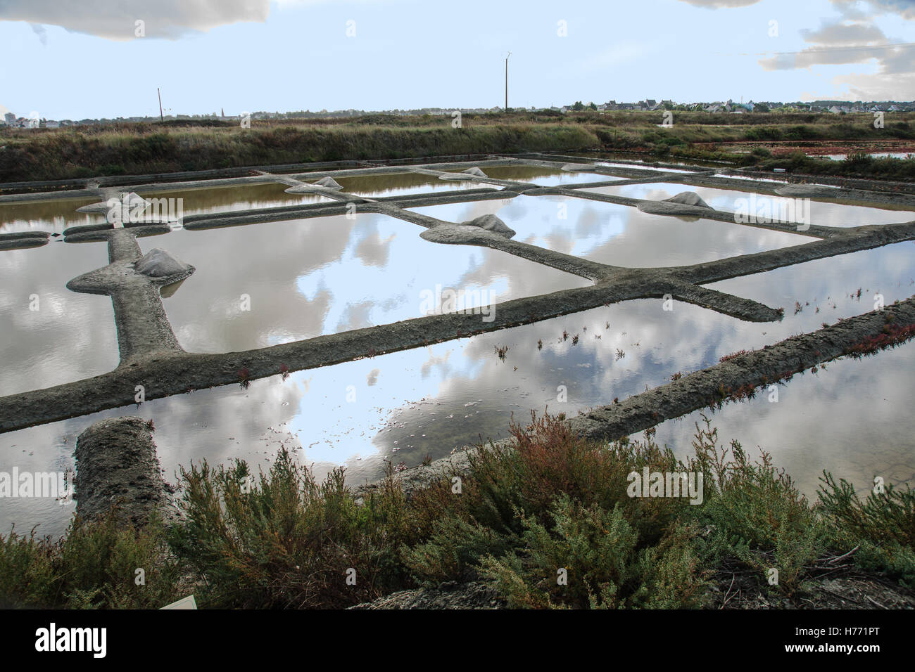 Salt production in france hi-res stock photography and images - Alamy