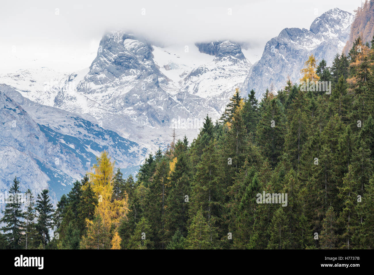 Autumn mountain landscape, Dachstein region, Gosau, Upper Austria ...