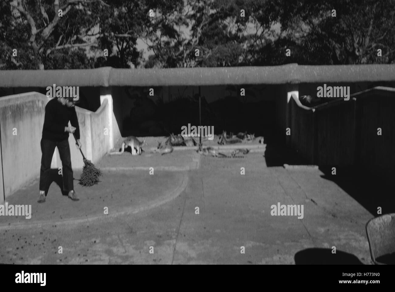 Vintage archival photograph taken in 1966 Stock Photo - Alamy