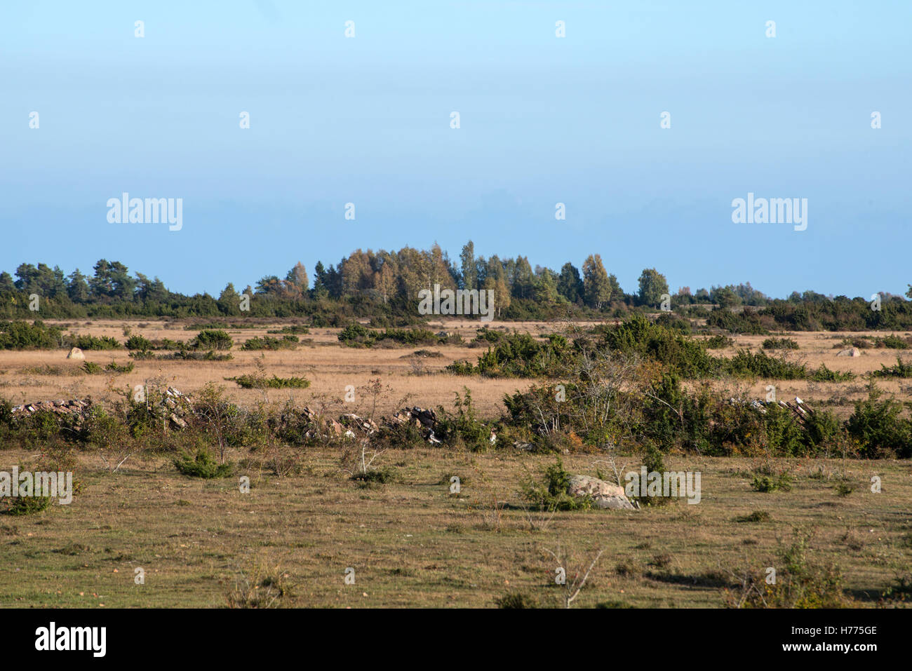 Alveret hi-res stock photography and images - Alamy