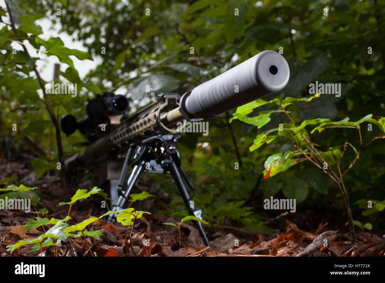High powered rifle with a silencer in the forest Stock Photo - Alamy