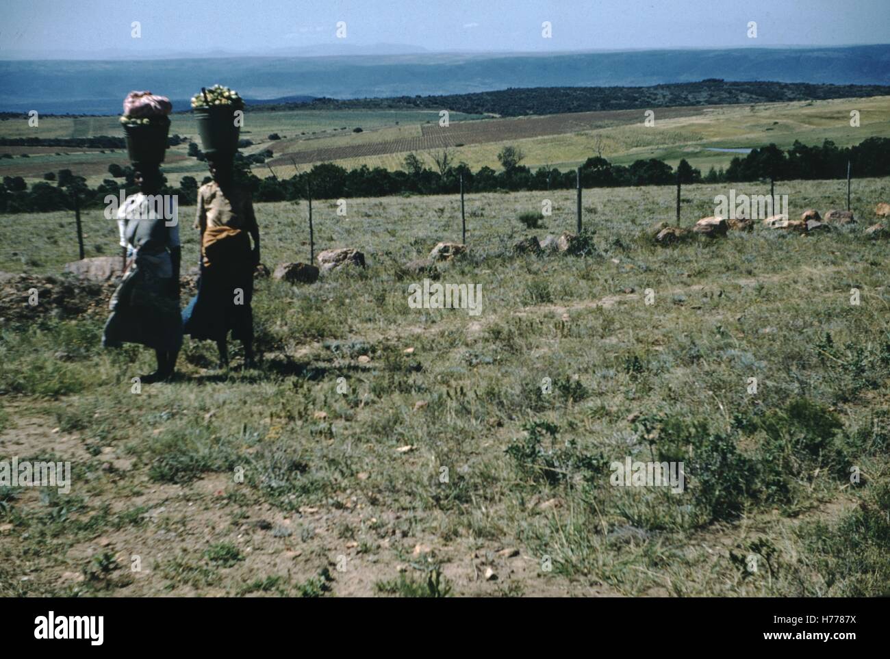 Vintage archival photograph taken in 1952 Stock Photo - Alamy