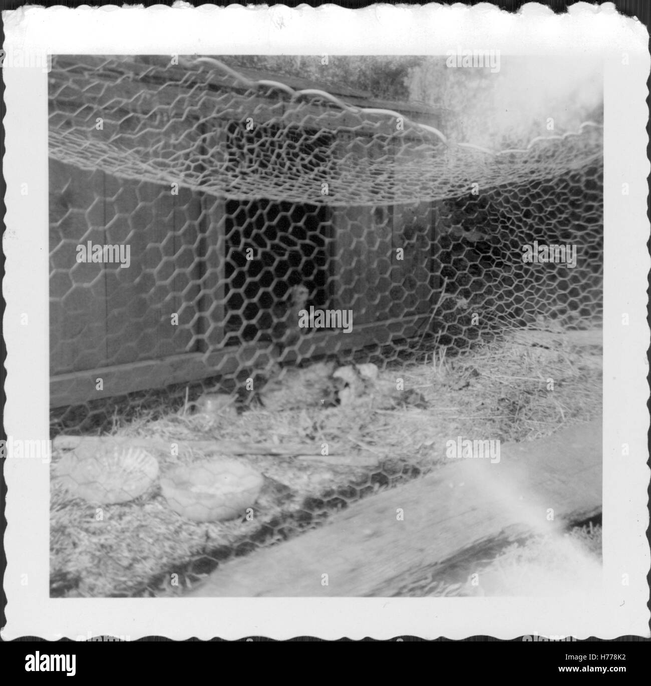Vintage wire Black and White Stock Photos & Images - Alamy