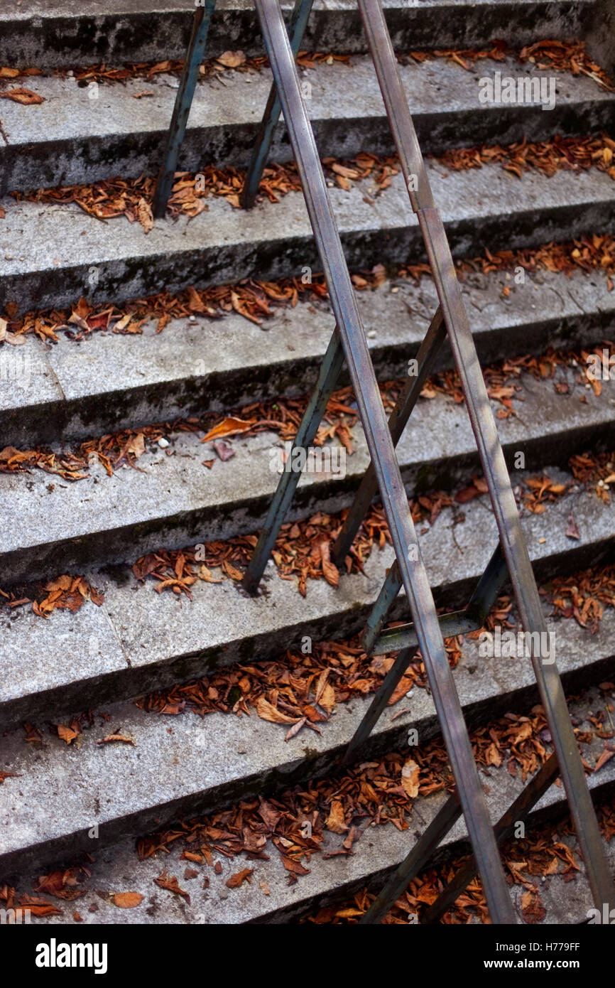 Dead leaves on a staircase in Autumn Stock Photo - Alamy