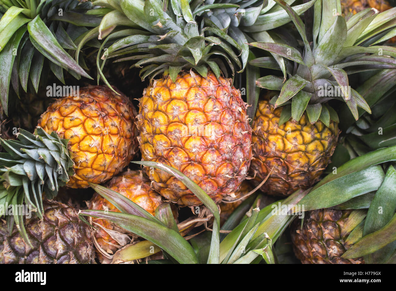 Pineapples hi-res stock photography and images - Alamy