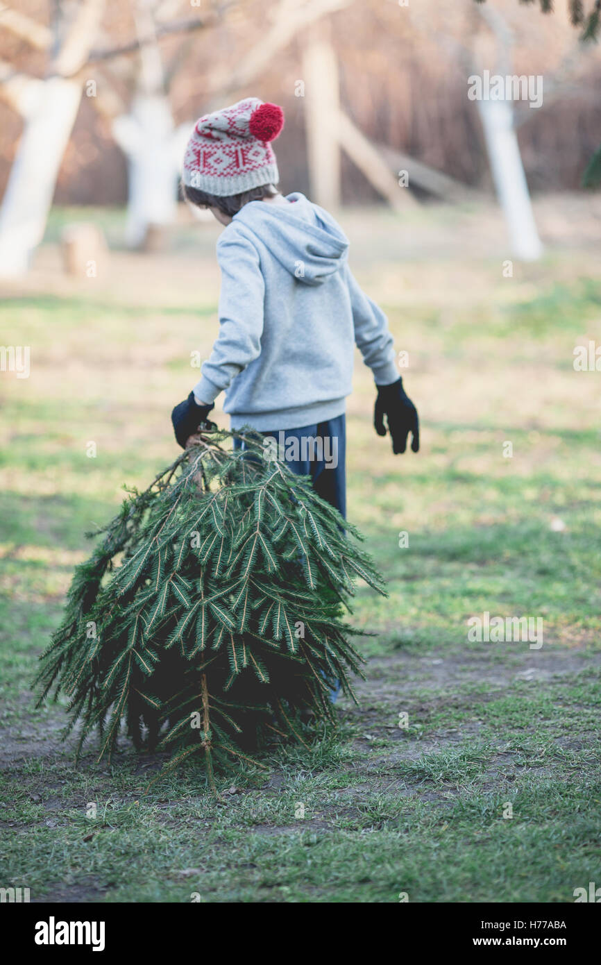 Boy dragging Christmas tree rear view Stock Photo - Alamy
