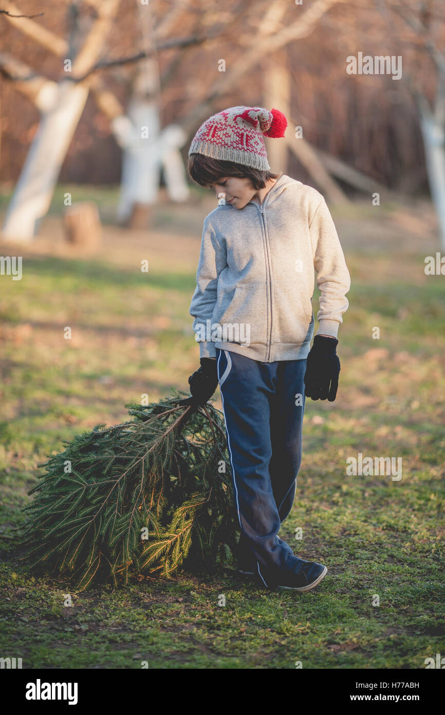 Boy dragging christmas tree hi-res stock photography and images - Alamy