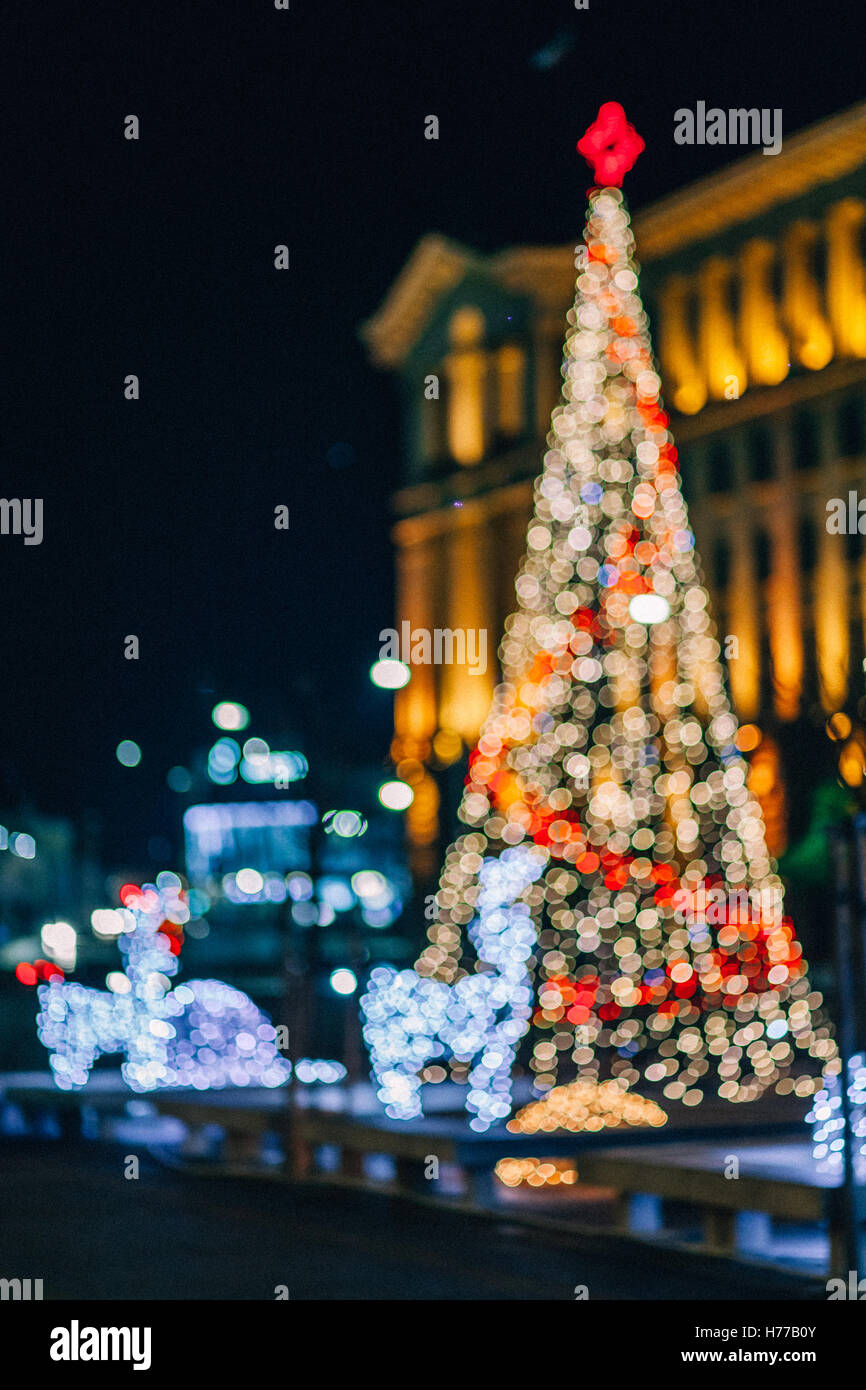 Tree lighting hi-res stock photography and images - Alamy