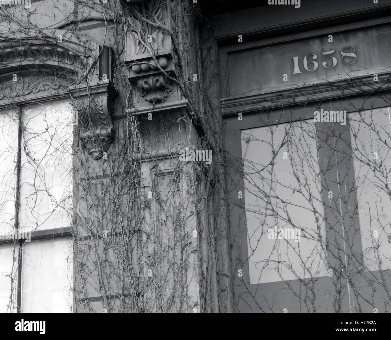 Building with Vines Stock Photo - Alamy