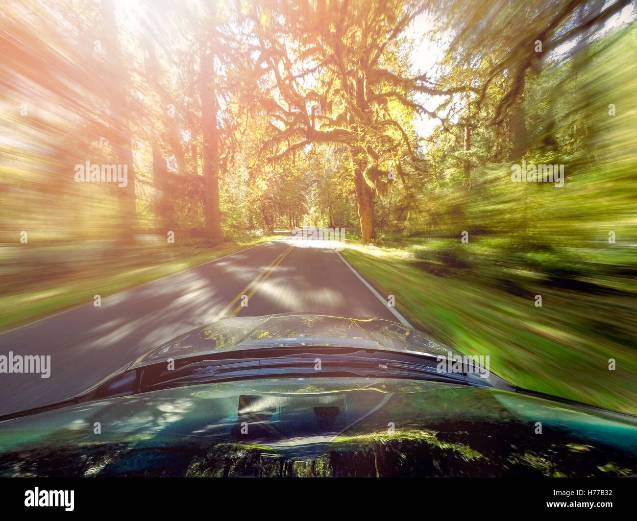 Car driving through forest at speed, Hoh, Washington, United States ...