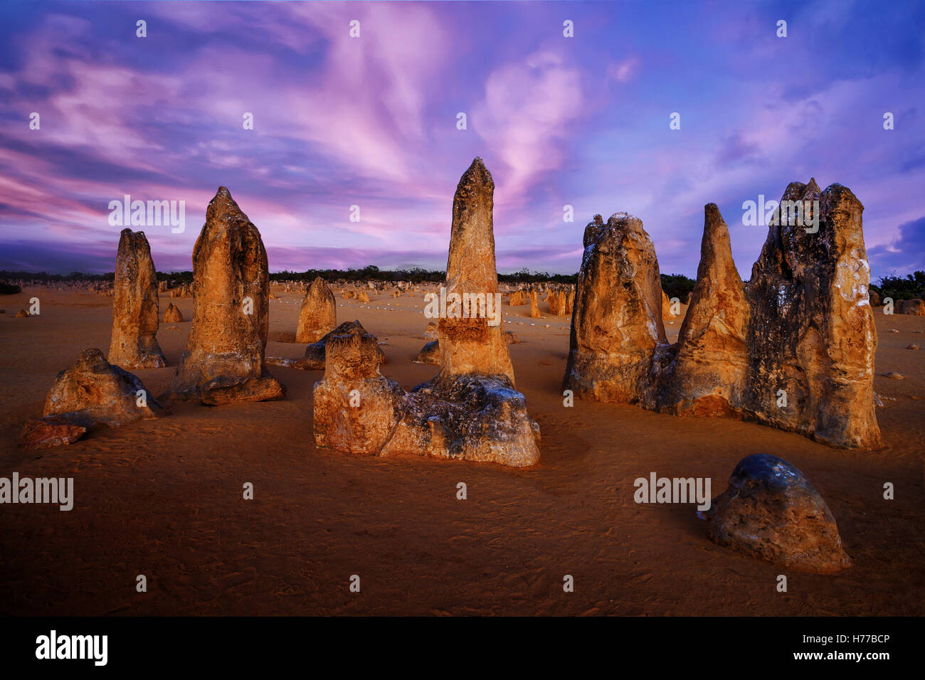 The Pinnacles at sunrise, Nambung National Park, Cervantes, Western ...