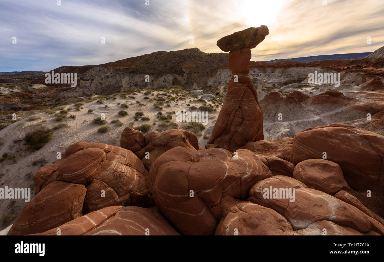 Toadstools hi-res stock photography and images - Alamy