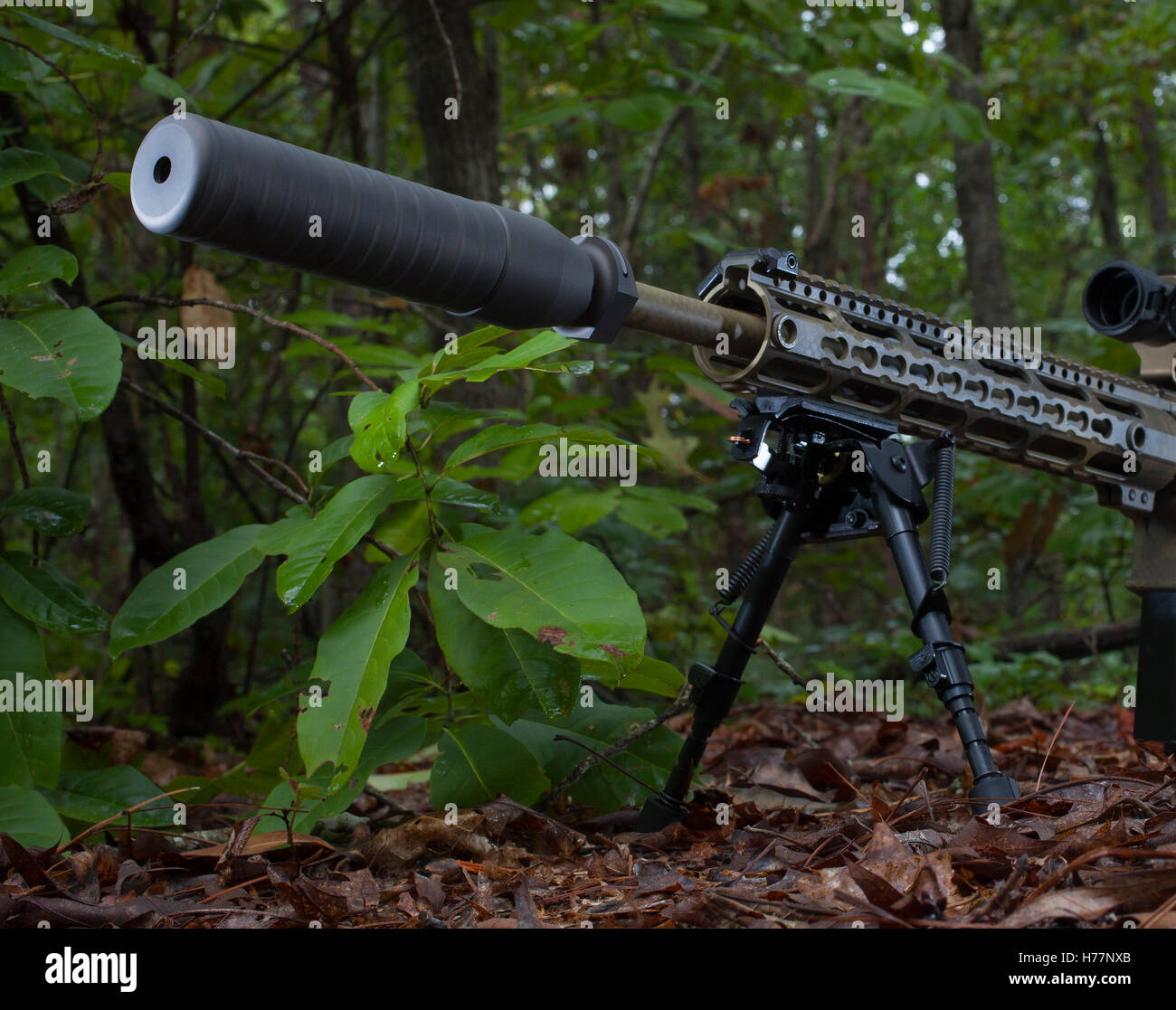 Camouflaged rifle in a forest with a silencer attached Stock Photo - Alamy