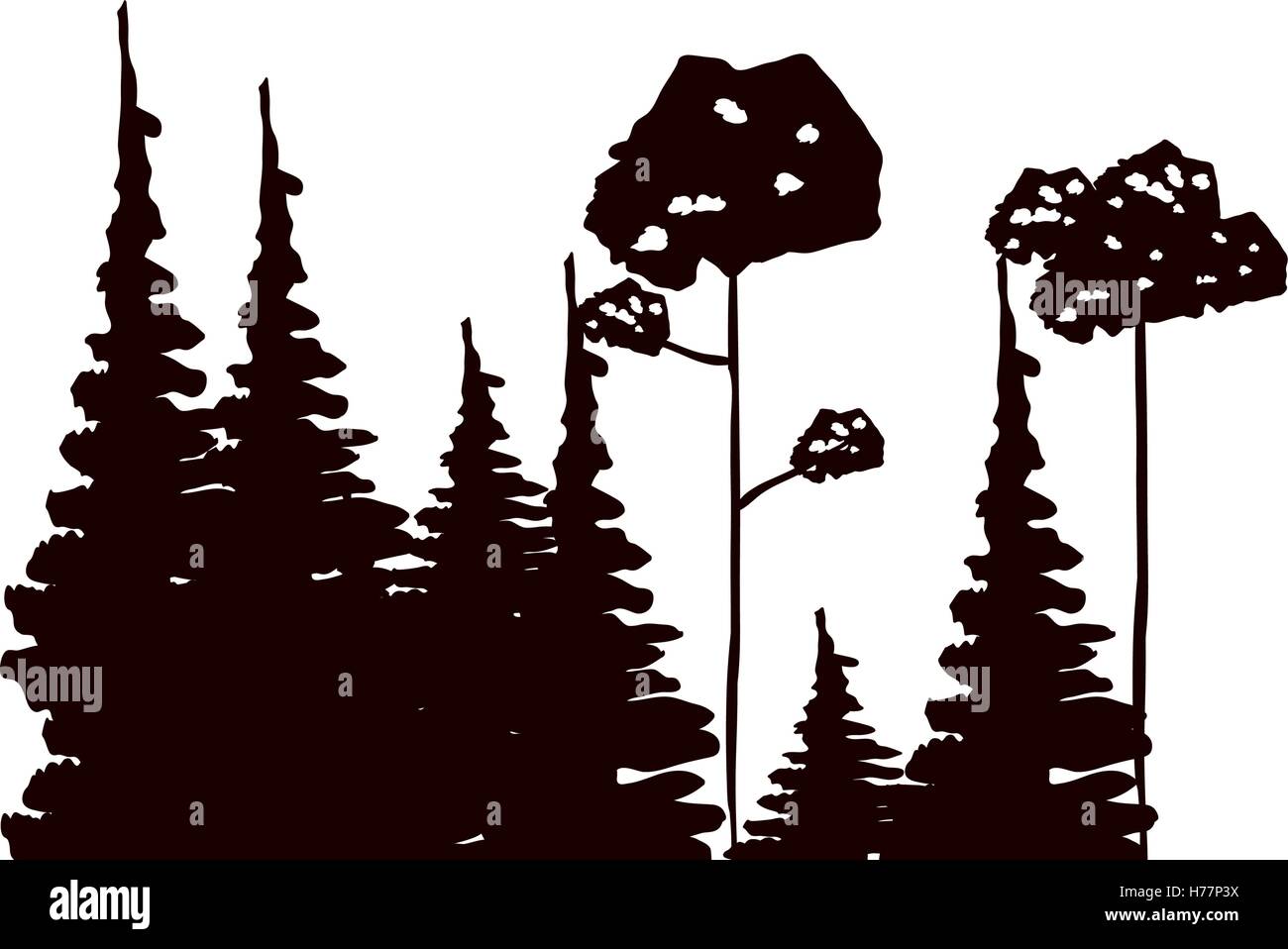monochrome forest with pines and leafy trees vector illustration Stock ...