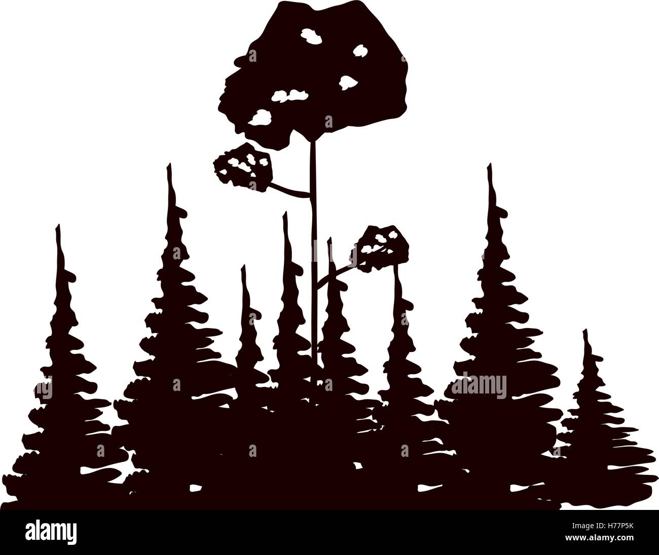 monochrome forest with pines and leafy tree vector illustration Stock ...