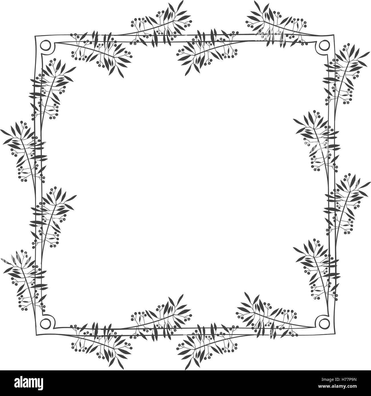 gray scale frame with olive branch contour vector illustration Stock ...