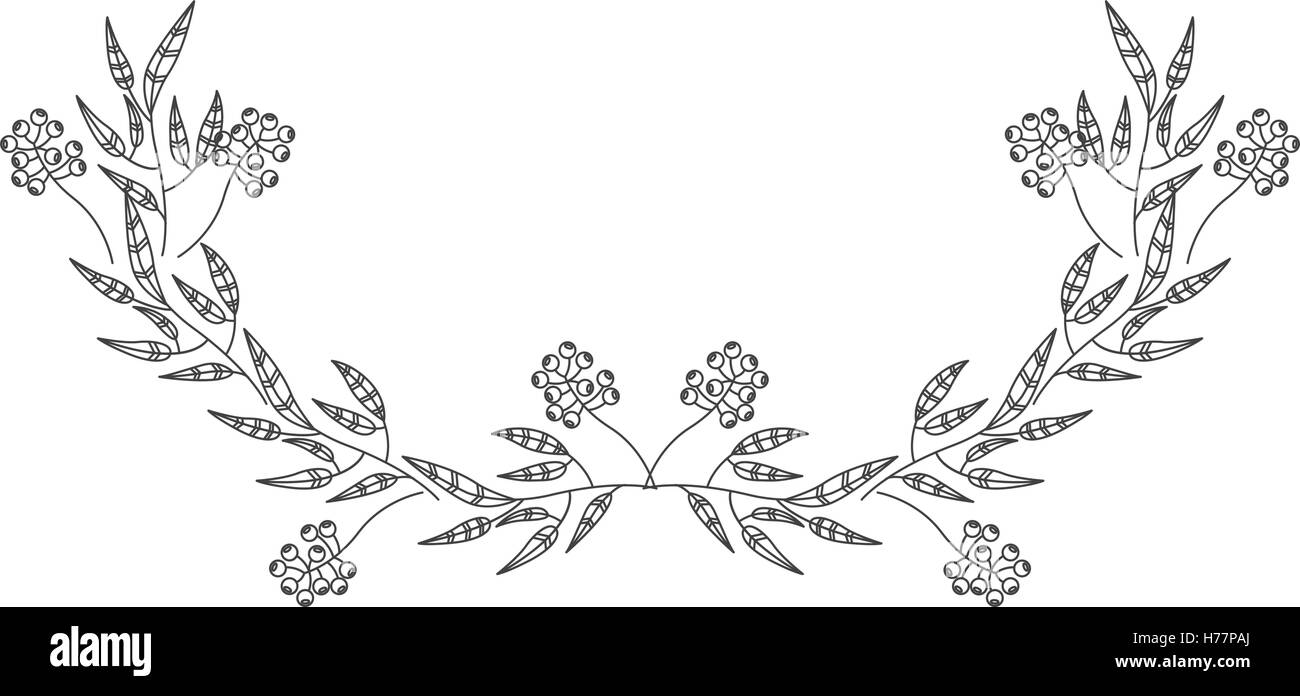 gray scale half crown olive branch contour vector illustration Stock ...