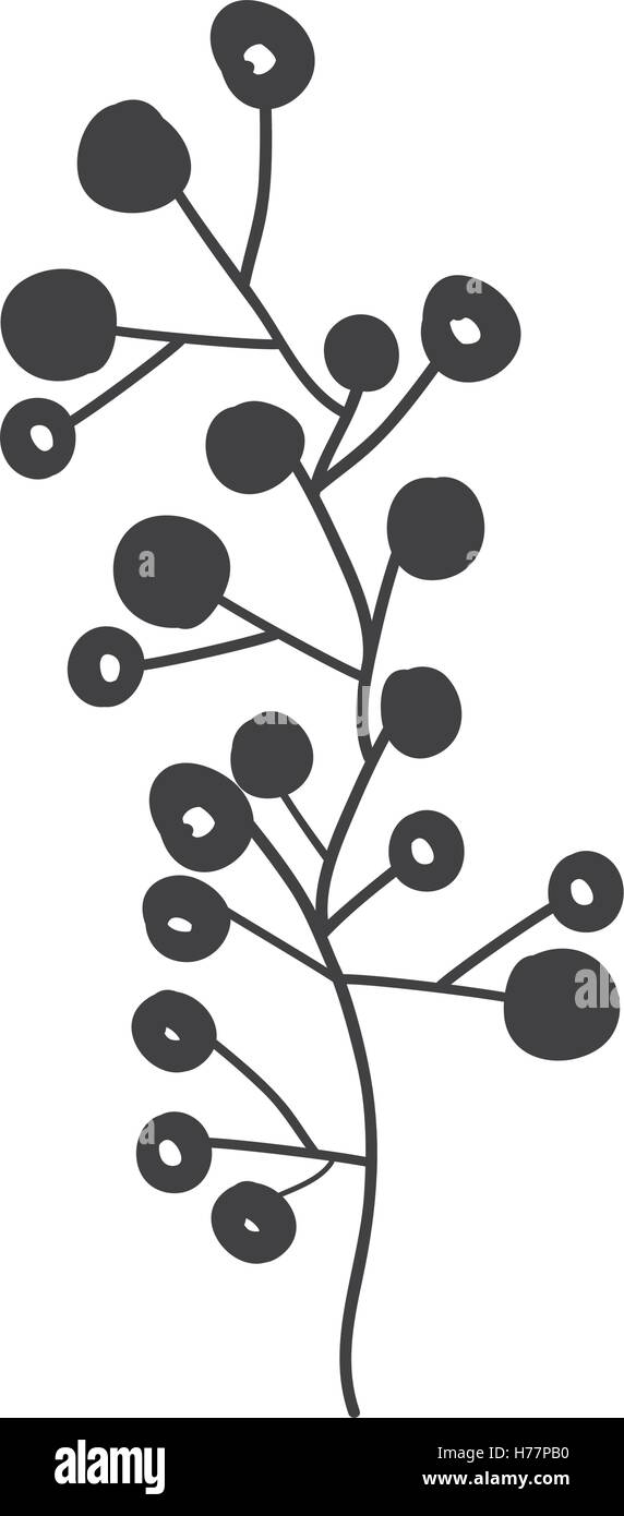 gray scale branch olive with fruits vector illustration Stock Vector ...