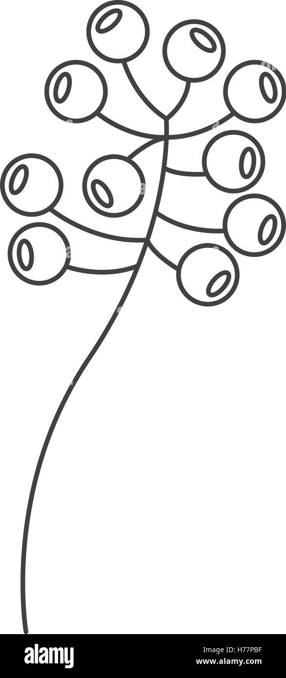 gray scale branch olive with fruits contour vector illustration Stock ...