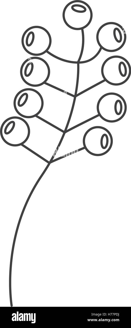 gray scale branch contour olive with more fruits vector illustration ...