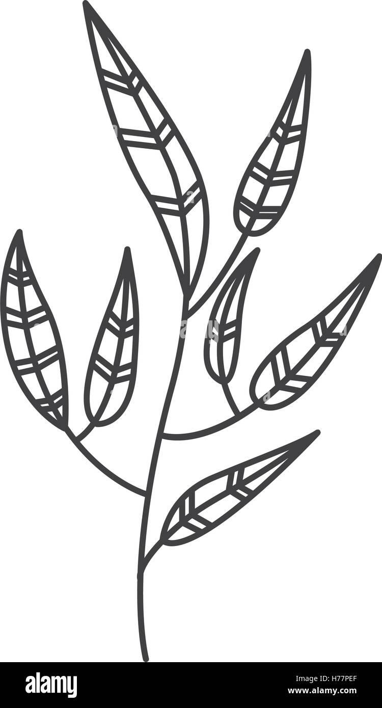 gray scale branch with leaves contour Stock Vector Image & Art - Alamy