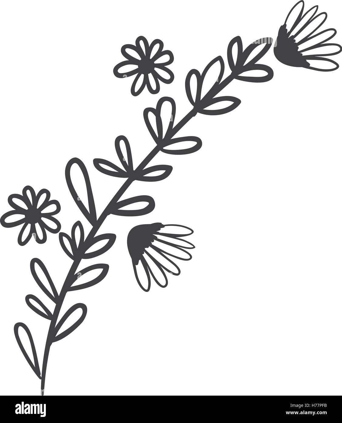 gray scale branch contour with flowers vector illustration Stock Vector ...