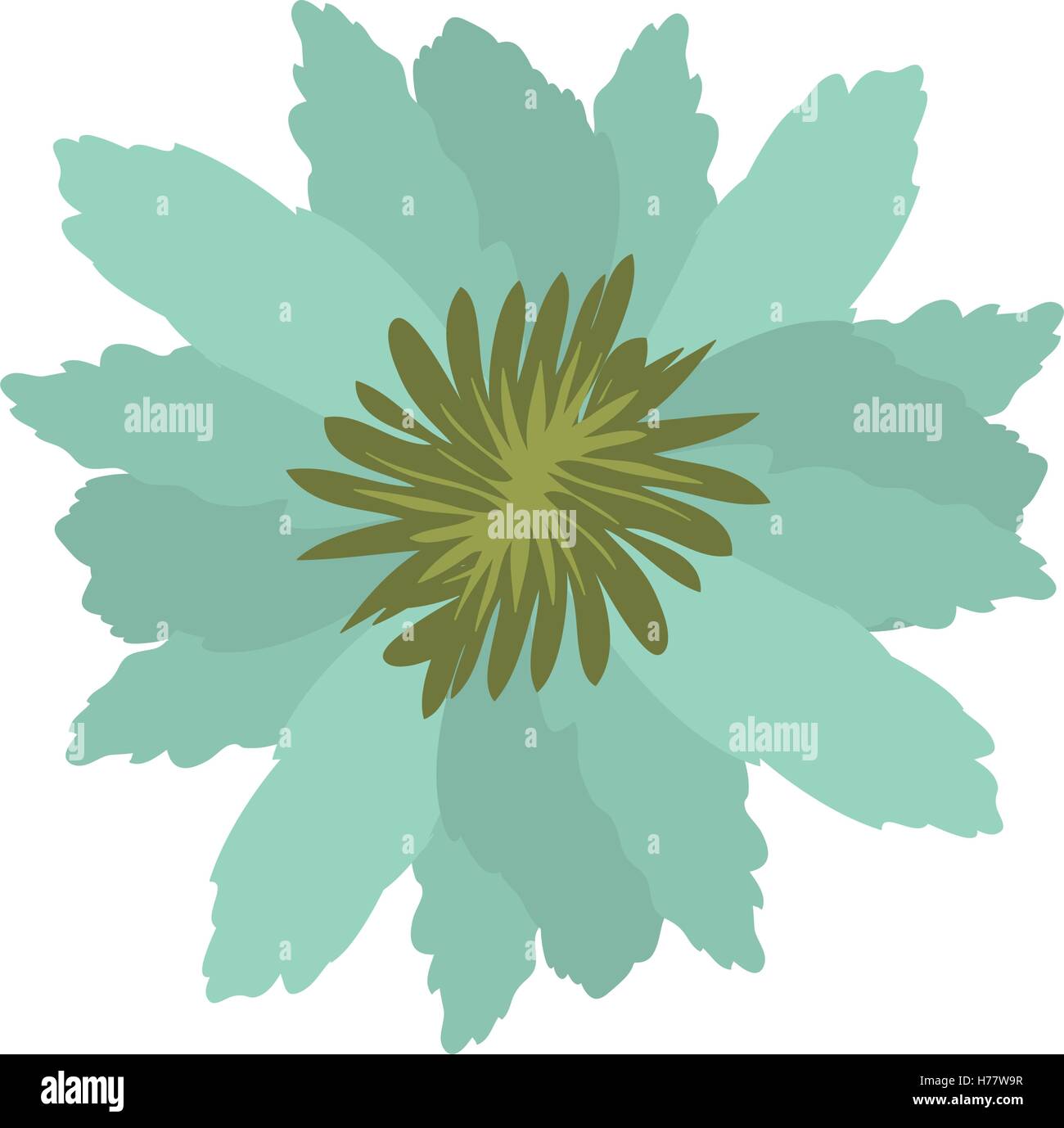 green petals of flower with sepal vector illustration Stock Vector ...