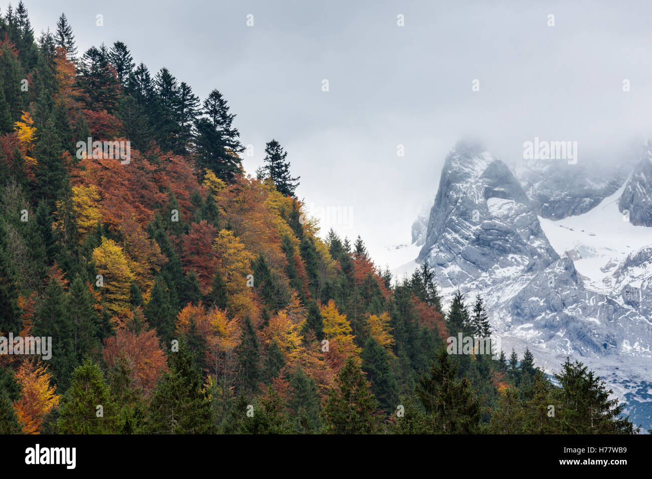 Autumn mountain landscape, Dachstein region, Gosau, Upper Austria ...