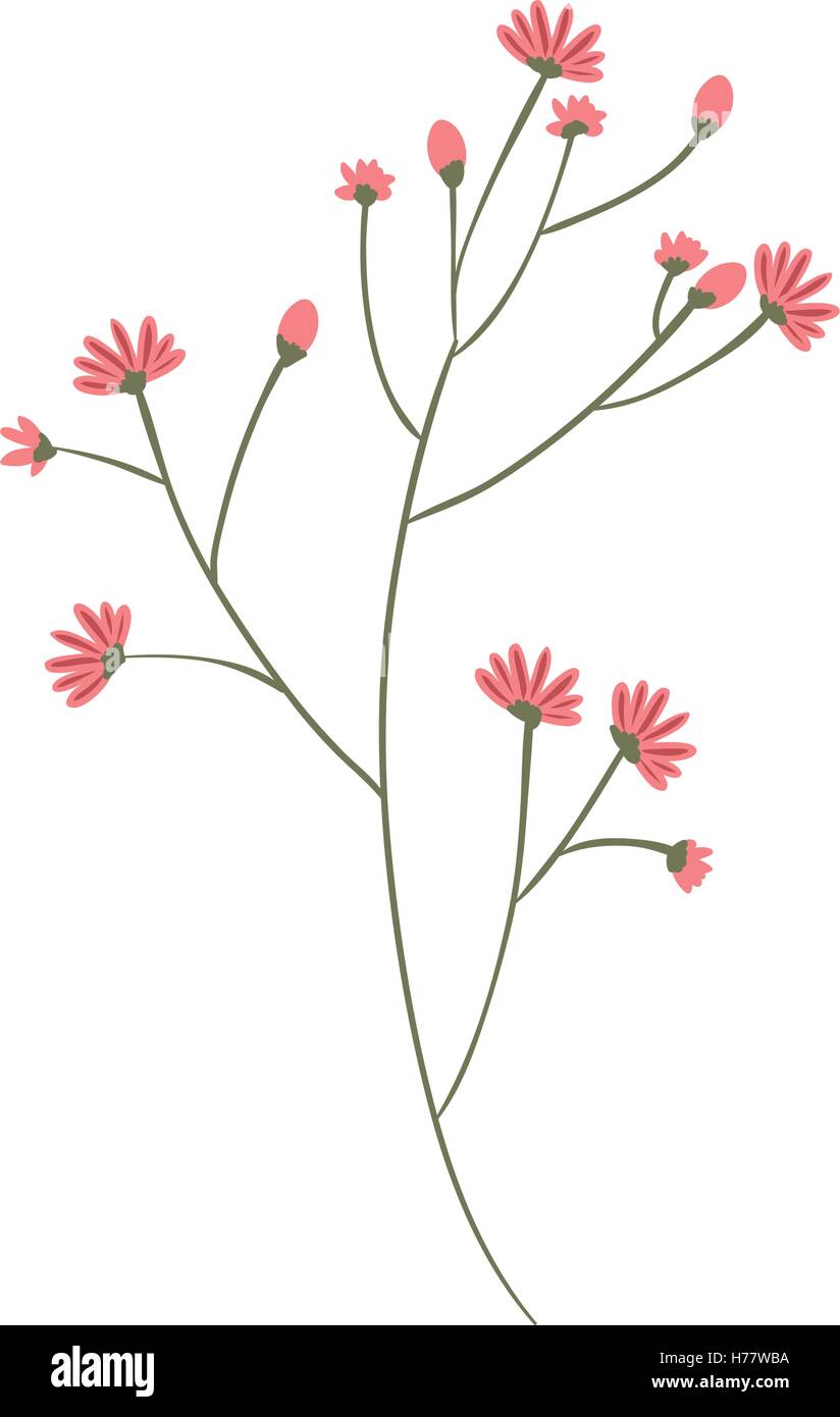 plant with ramifications and flowers vector illustration Stock Vector ...