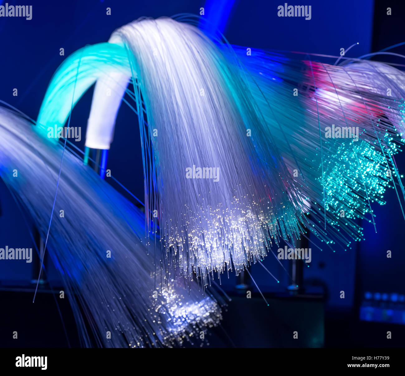 fiber optical network cable Stock Photo - Alamy