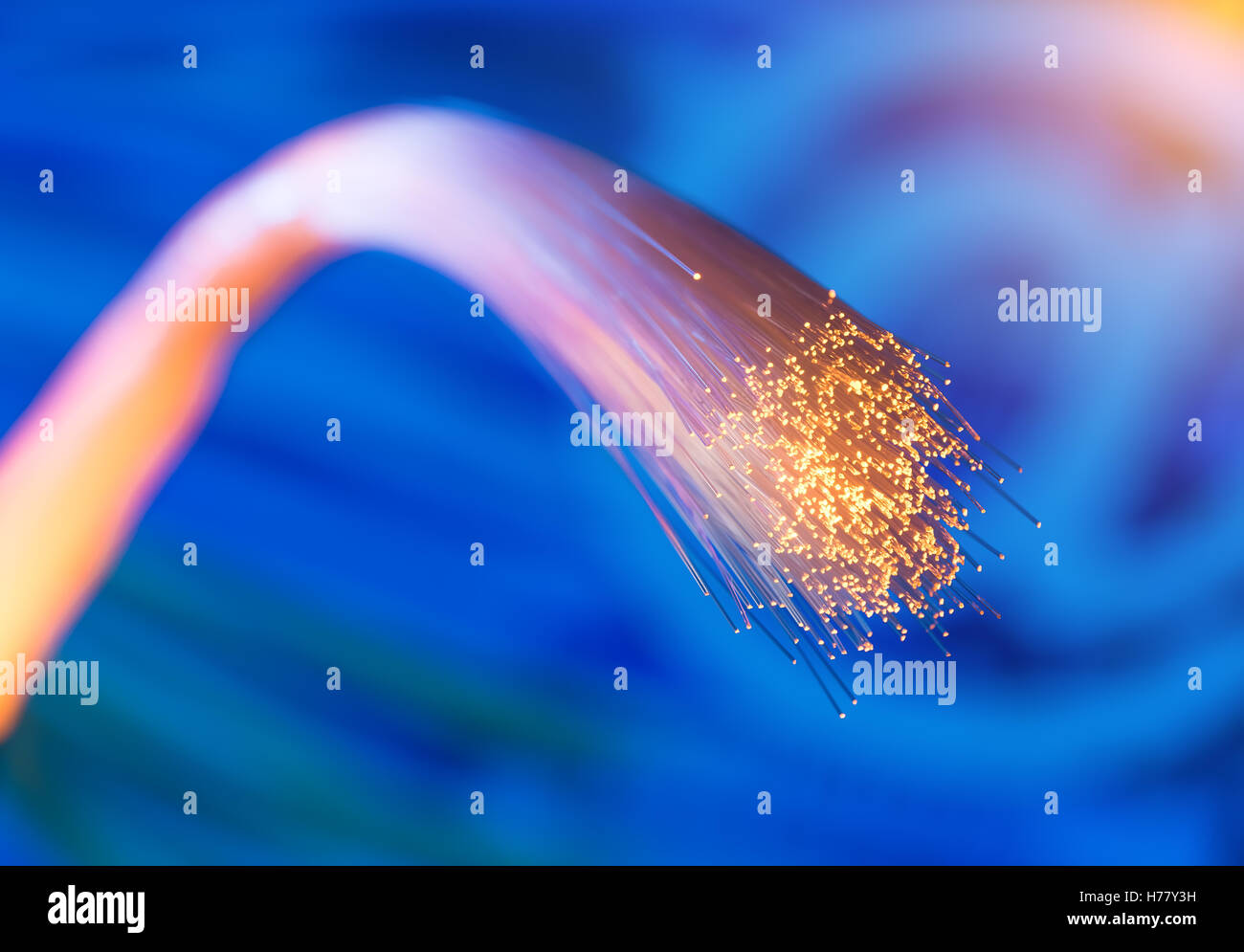 fiber optical network cable Stock Photo - Alamy