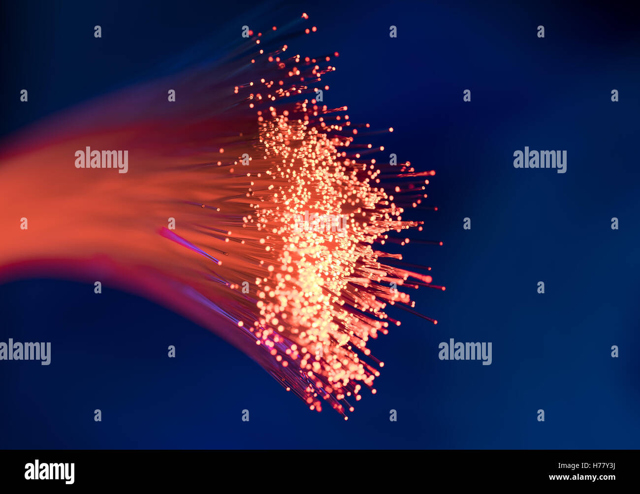 fiber optical network cable Stock Photo - Alamy