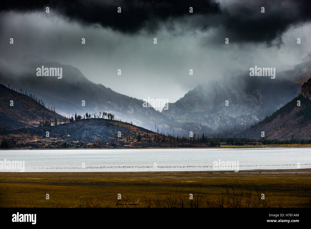 Wildfire aftermath Jackson Lake Grand Teton National Park Stock Photo ...