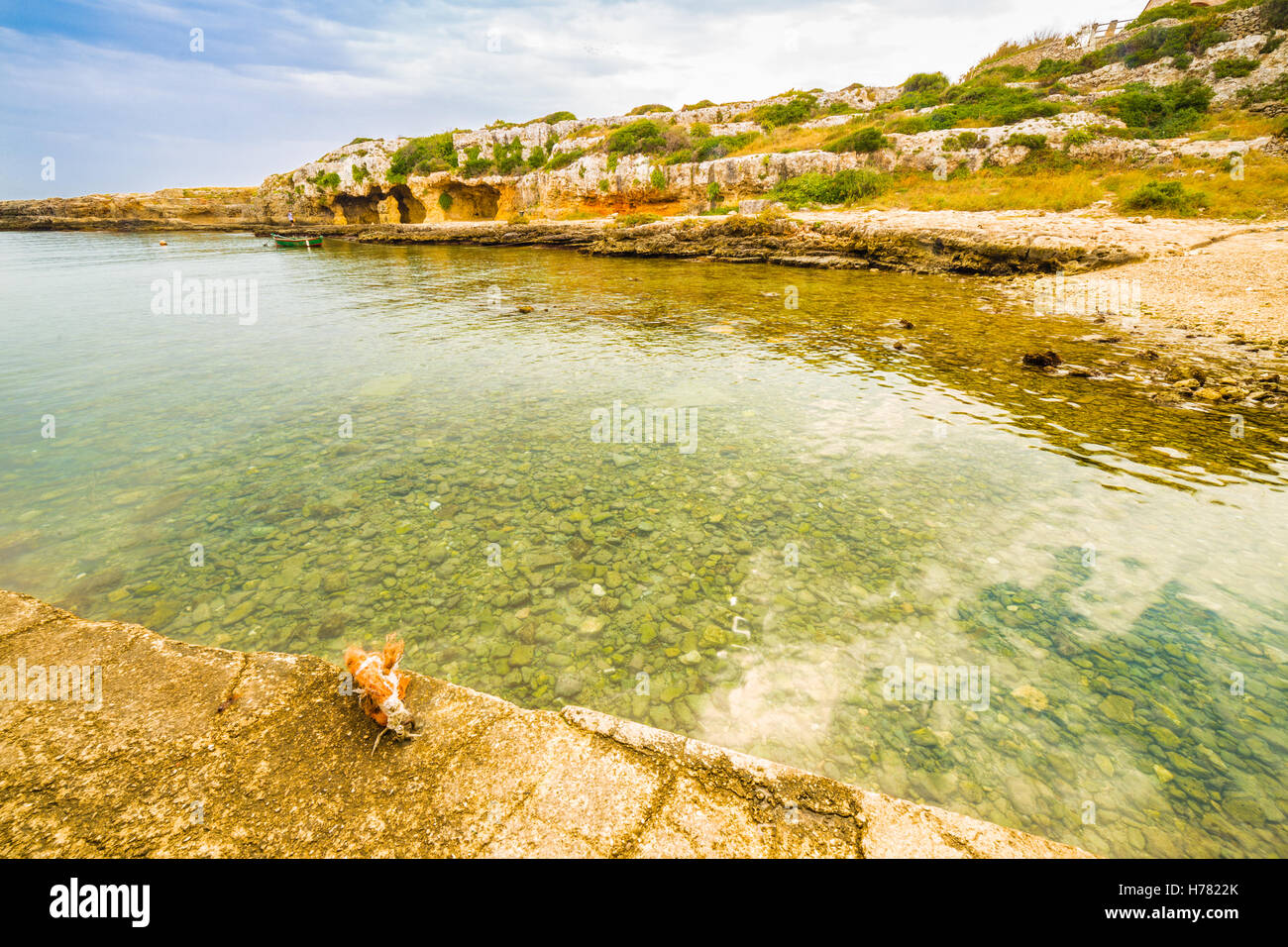 cove on the coast of Puglia Stock Photo - Alamy