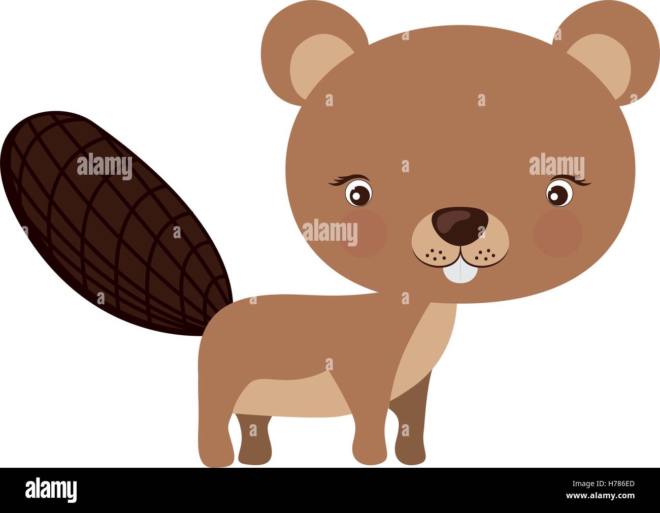 Little animal concept about cute beaver design, vector illustration ...