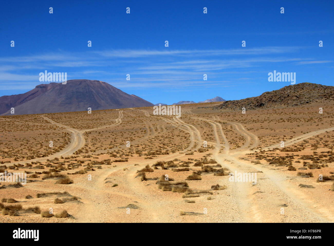 Wheel tracks in the desert near Laguna Colorado, which one leads to ...