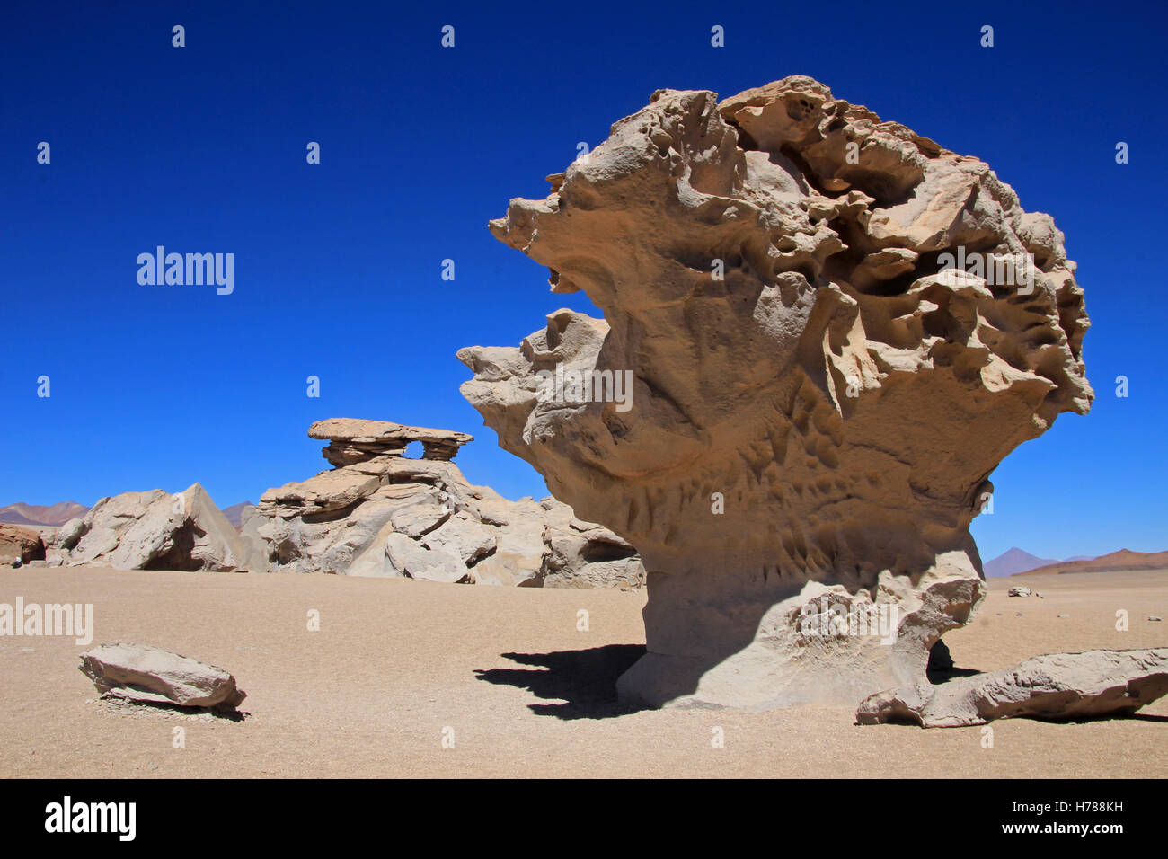 The famous rock formation stone tree or arbol de piedra in the desert ...