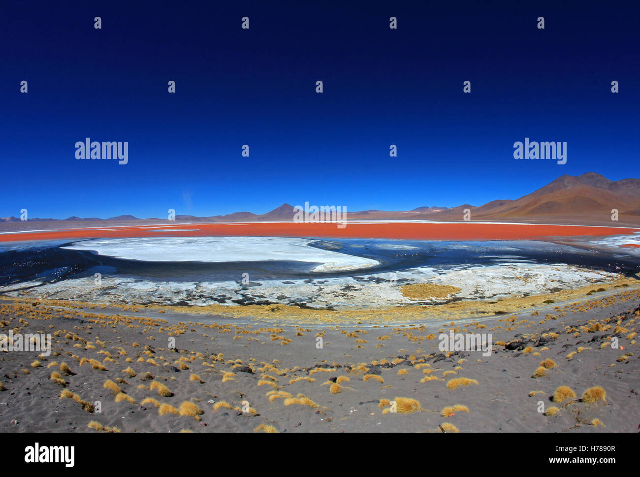 The nice red colored Laguna Colorada, fisheye prespective, southern ...