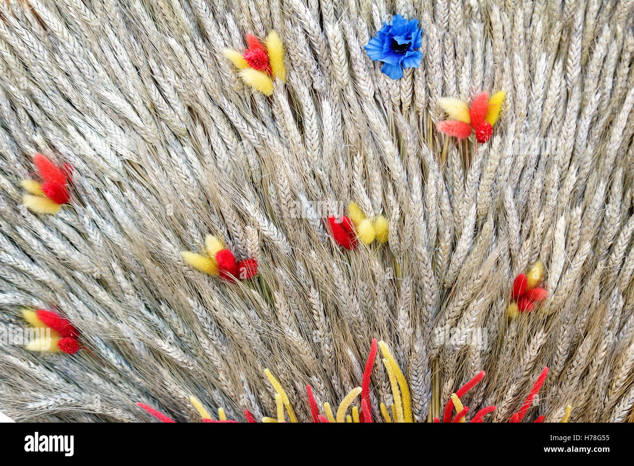 Ears of ripe wheat decorated with flowers and feathers and make a nice ...