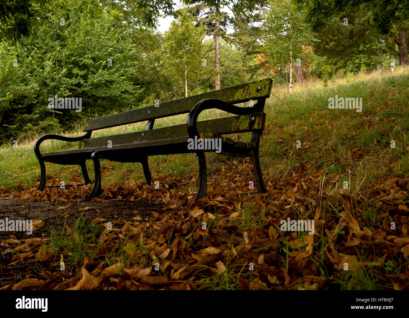 Park bench in Autumn Stock Photo - Alamy