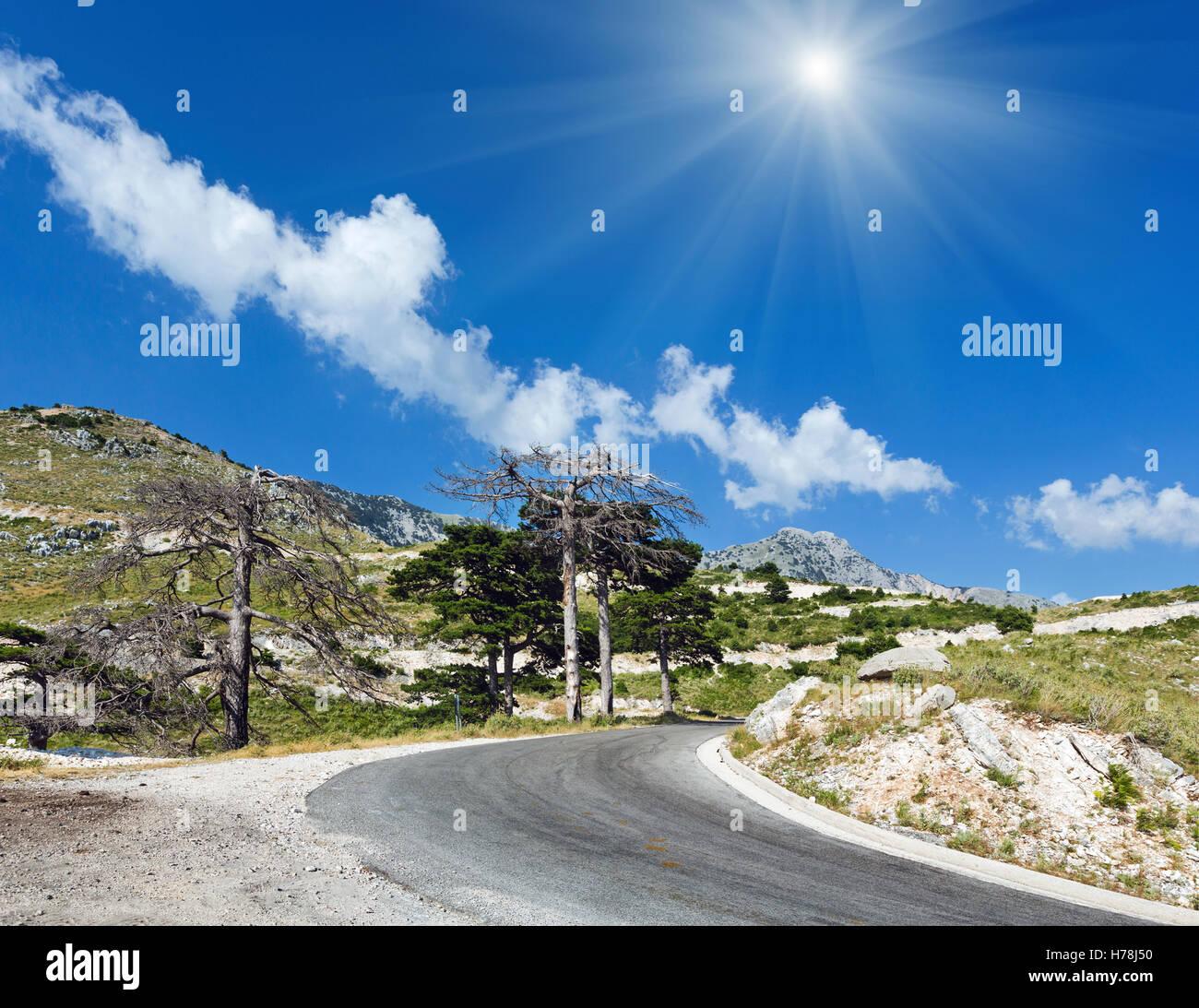 Summer Llogara pass sunshiny view with road and dry trees on roadside ...