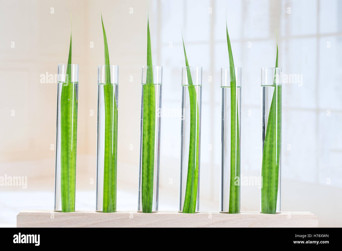 Botanic research lab hi-res stock photography and images - Alamy