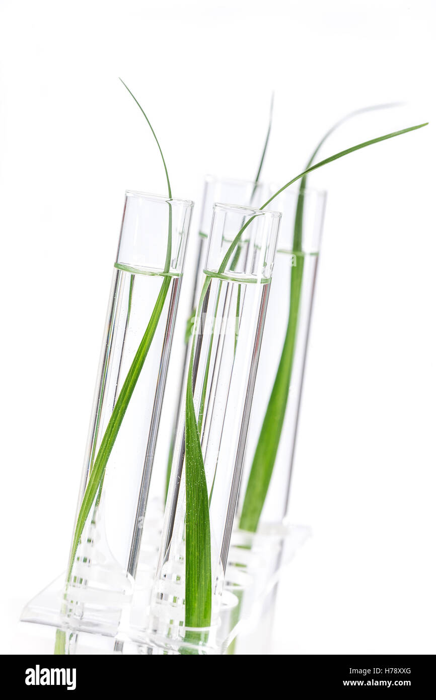 Botanic research lab hi-res stock photography and images - Alamy