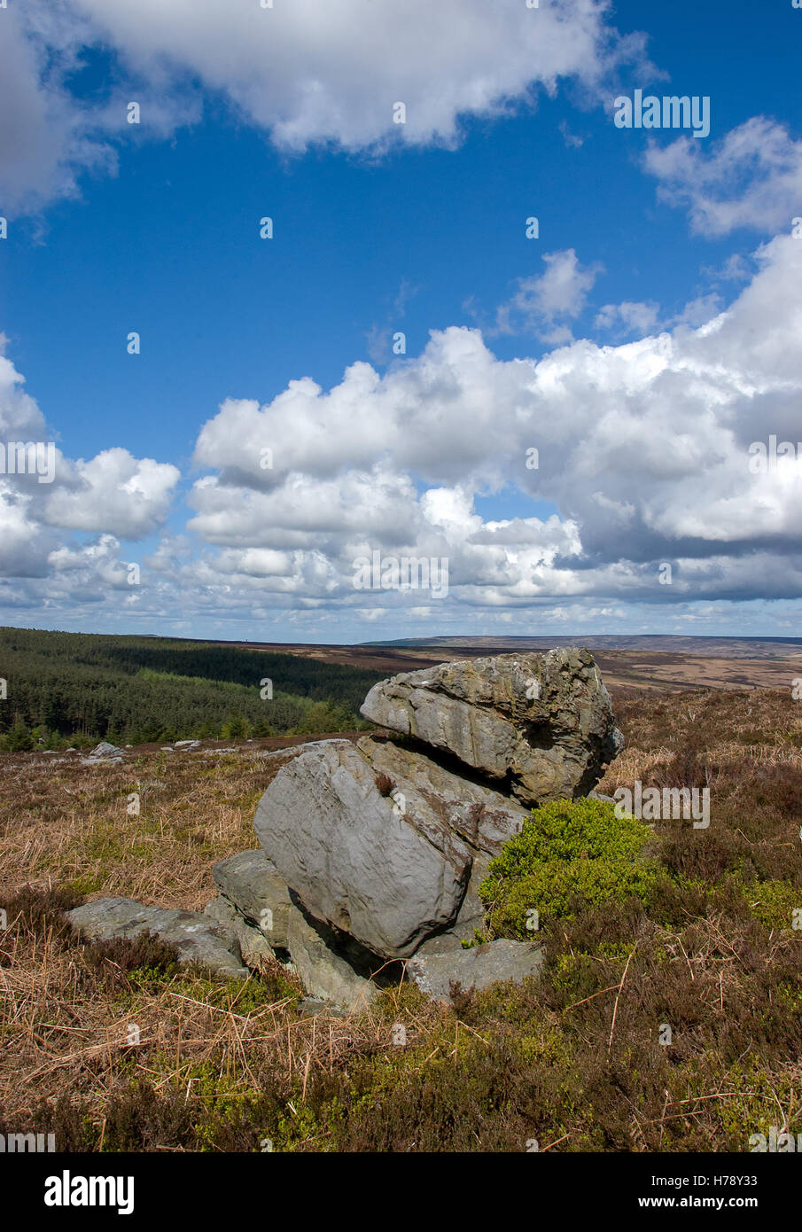 Raven Stone on Wheeldale Moor Stock Photo - Alamy